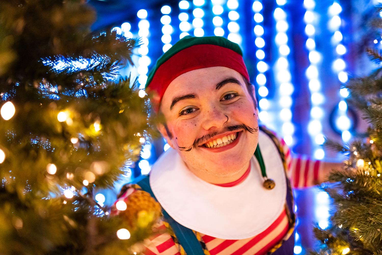 More Details - Elf Town Dublin